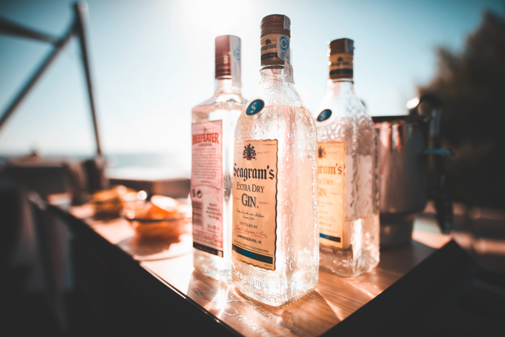 Alle Gin Sorten in der Übersicht Ginsalabim